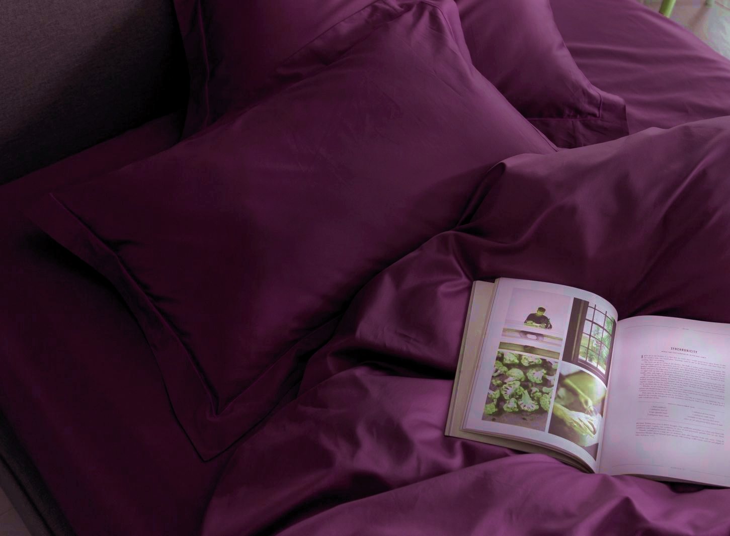 Solid Color Egyptian Cotton Duvet Cover Luxury Bedding Set High Thread Count Long Staple Sateen Weave Silky Soft Breathable Pima Quality Bed Linen (Queen, Deep Plum)