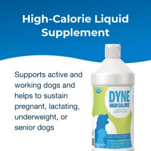 Pet-Ag Dyne High Calorie Liquid Nutritional Supplement for Dogs & Puppies 8 Weeks and Older - 16 oz, Pack of 2 - Supports Performance and Endurance - Sweet Vanilla Flavor