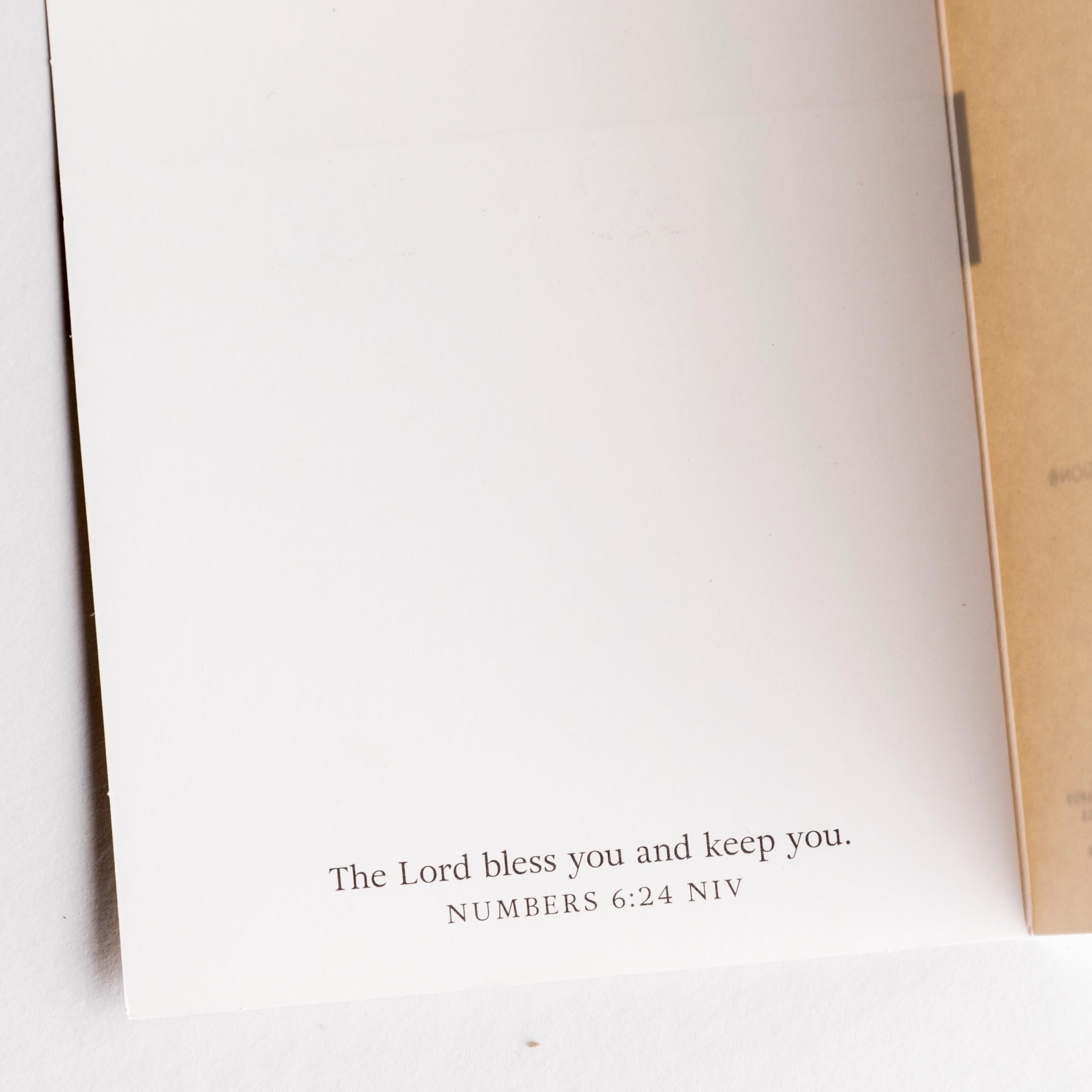 DaySpring - 10 Thank Yous with Scripture - 10 Blank Premium Note Cards and Envelopes - NIV (71942)