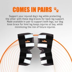 NeoAlly® - Rear Leg Hock Brace, Dog Leg Brace for Rear Leg, Hock & Ankle Support for Large Dogs, Dog Brace for Torn Acl and Ccl, Long Version, Medium, 1 Pair