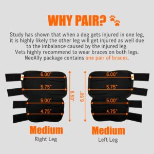 NeoAlly® - Rear Leg Hock Brace, Dog Leg Brace for Rear Leg, Hock & Ankle Support for Large Dogs, Dog Brace for Torn Acl and Ccl, Long Version, Medium, 1 Pair