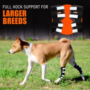 NeoAlly® - Rear Leg Hock Brace, Dog Leg Brace for Rear Leg, Hock & Ankle Support for Large Dogs, Dog Brace for Torn Acl and Ccl, Long Version, Medium, 1 Pair