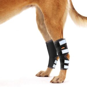 neoally® - rear leg hock brace, dog leg brace for rear leg, hock & ankle support for large dogs, dog brace for torn acl and ccl, long version, medium, 1 pair