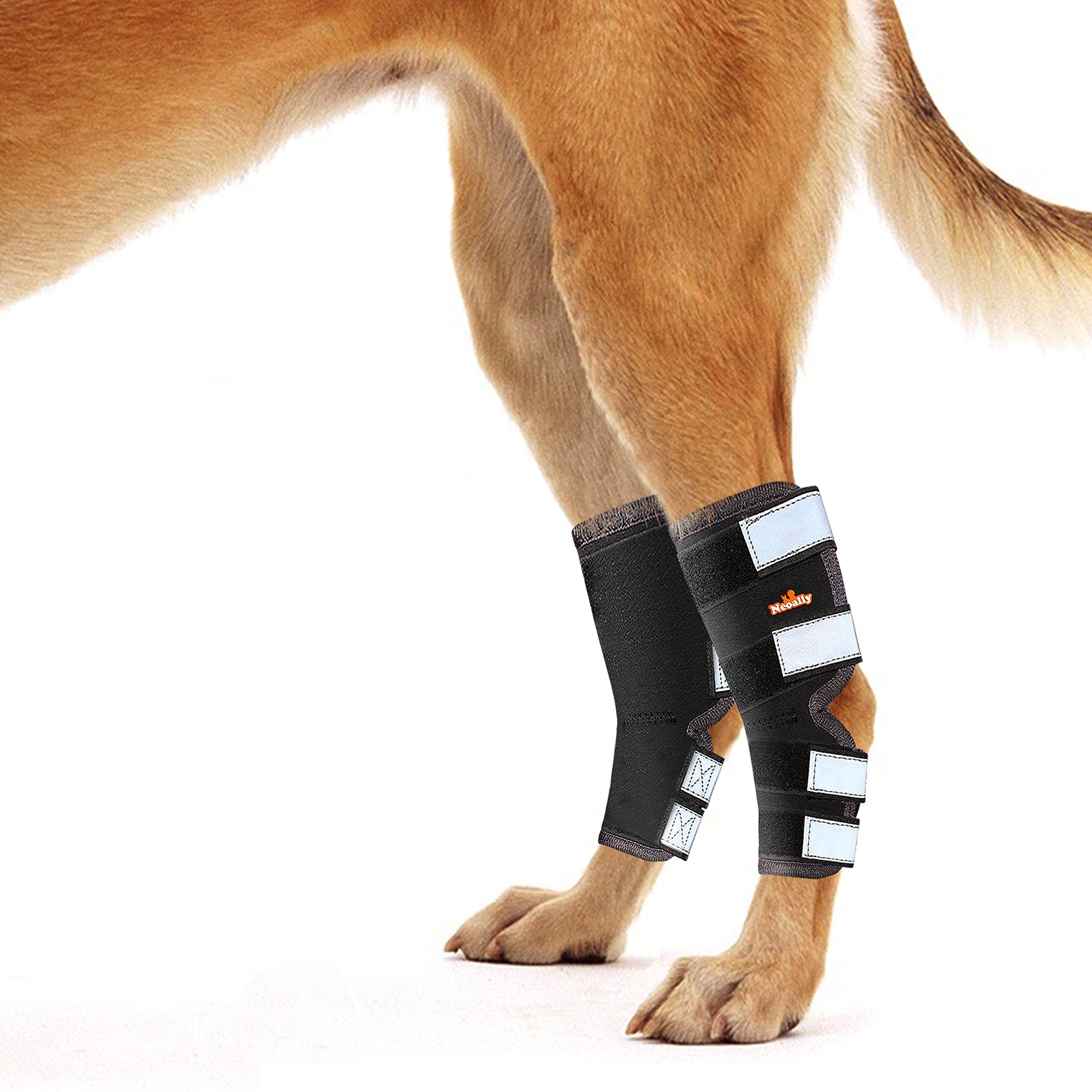 NeoAlly® - Rear Leg Hock Brace, Dog Leg Brace for Rear Leg, Hock & Ankle Support for Large Dogs, Dog Brace for Torn Acl and Ccl, Long Version, Medium, 1 Pair