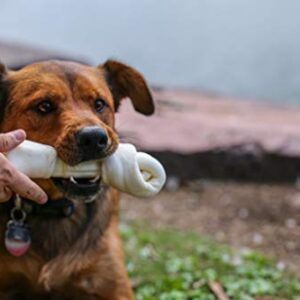 Top Dog Chews - Natural Beef Rawhide Bones (3 Pack), 8"-10" Long-Lasting Dog Bones for Aggressive Chewers, Digestible Dog Treats for Small, Medium & Large Breeds (3 Pack, 3, Count)