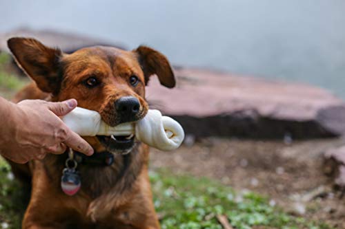 Top Dog Chews - Natural Beef Rawhide Bones (3 Pack), 8"-10" Long-Lasting Dog Bones for Aggressive Chewers, Digestible Dog Treats for Small, Medium & Large Breeds (3 Pack, 3, Count)