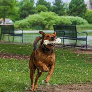 Top Dog Chews - Natural Beef Rawhide Bones (3 Pack), 8"-10" Long-Lasting Dog Bones for Aggressive Chewers, Digestible Dog Treats for Small, Medium & Large Breeds (3 Pack, 3, Count)