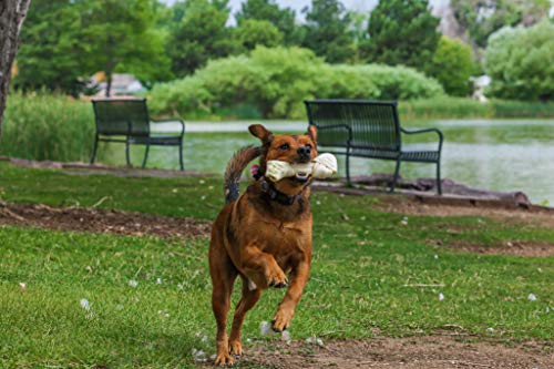 Top Dog Chews - Natural Beef Rawhide Bones (3 Pack), 8"-10" Long-Lasting Dog Bones for Aggressive Chewers, Digestible Dog Treats for Small, Medium & Large Breeds (3 Pack, 3, Count)