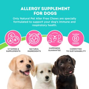 ONLY NATURAL PET AllerFree Advanced Allergy Support for Dogs w/Quercetin & Probiotics - Immune, Respiratory, Skin & Coat Health - Itchy Paws & Licking - Bacon-Flavored 60 Soft Chewable