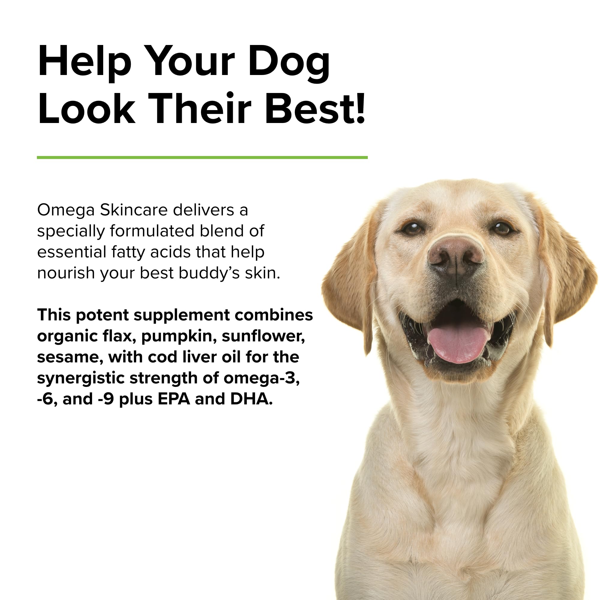 Terry Naturally Animal Health Omega Skincare - 8 fl oz - with Omega-3, -6, -9, Flax, Pumpkin, Sunflower & Sesame Seed Oil - Canine Only - 47 Servings