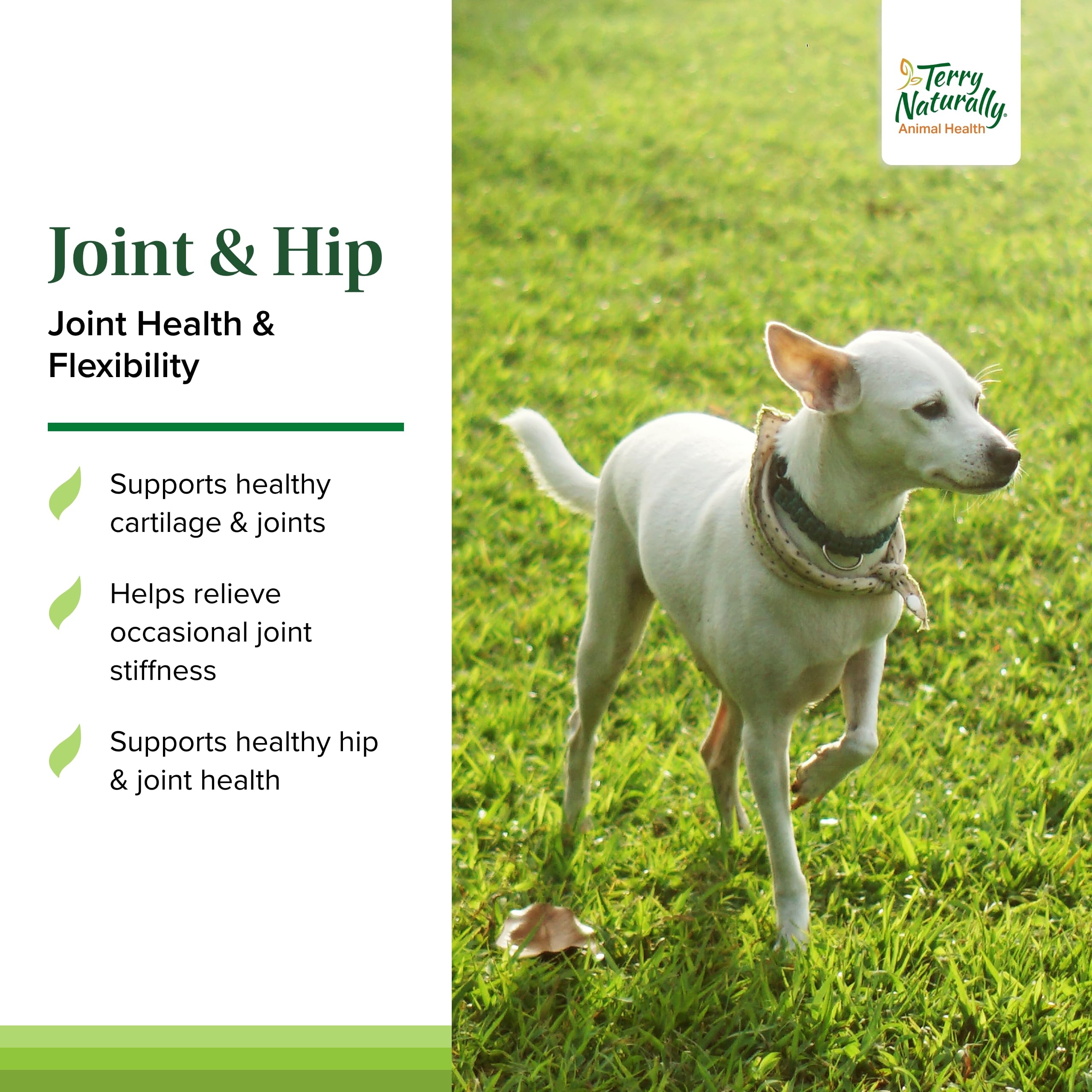 Terry Naturally Animal Health Joint & Hip Formula - 60 Chewable Wafers - Supports Joint Health, Flexibility, Comfort & Mobility - Canine Only