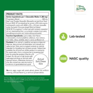 Terry Naturally Animal Health Joint & Hip Formula - 60 Chewable Wafers - Supports Joint Health, Flexibility, Comfort & Mobility - Canine Only