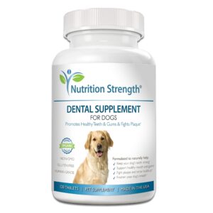 nutrition strength dental care for dogs, daily supplement for healthy dog gums and teeth with organic kelp, strawberry leaf, pumpkin seed for dog mouth and teeth cleaning, 120 chewable tablets