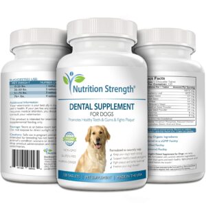 Nutrition Strength Dental Care for Dogs, Daily Supplement for Healthy Dog Gums and Teeth with Organic Kelp, Strawberry Leaf, Pumpkin Seed for Dog Mouth and Teeth Cleaning, 120 Chewable Tablets