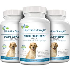 Nutrition Strength Dental Care for Dogs, Daily Supplement for Healthy Dog Gums and Teeth with Organic Kelp, Strawberry Leaf, Pumpkin Seed for Dog Mouth and Teeth Cleaning, 120 Chewable Tablets