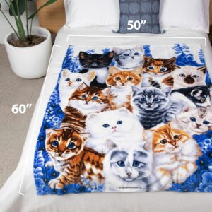 Dawhud Direct Kitten Collage Blanket - 50x60 Inches Throw Blanket for Kids and Adults - Soft Plush Fleece Blanket for Bed, Couch, or Travel - Cozy Queen Size Cat Lover's Blanket, Machine Washable