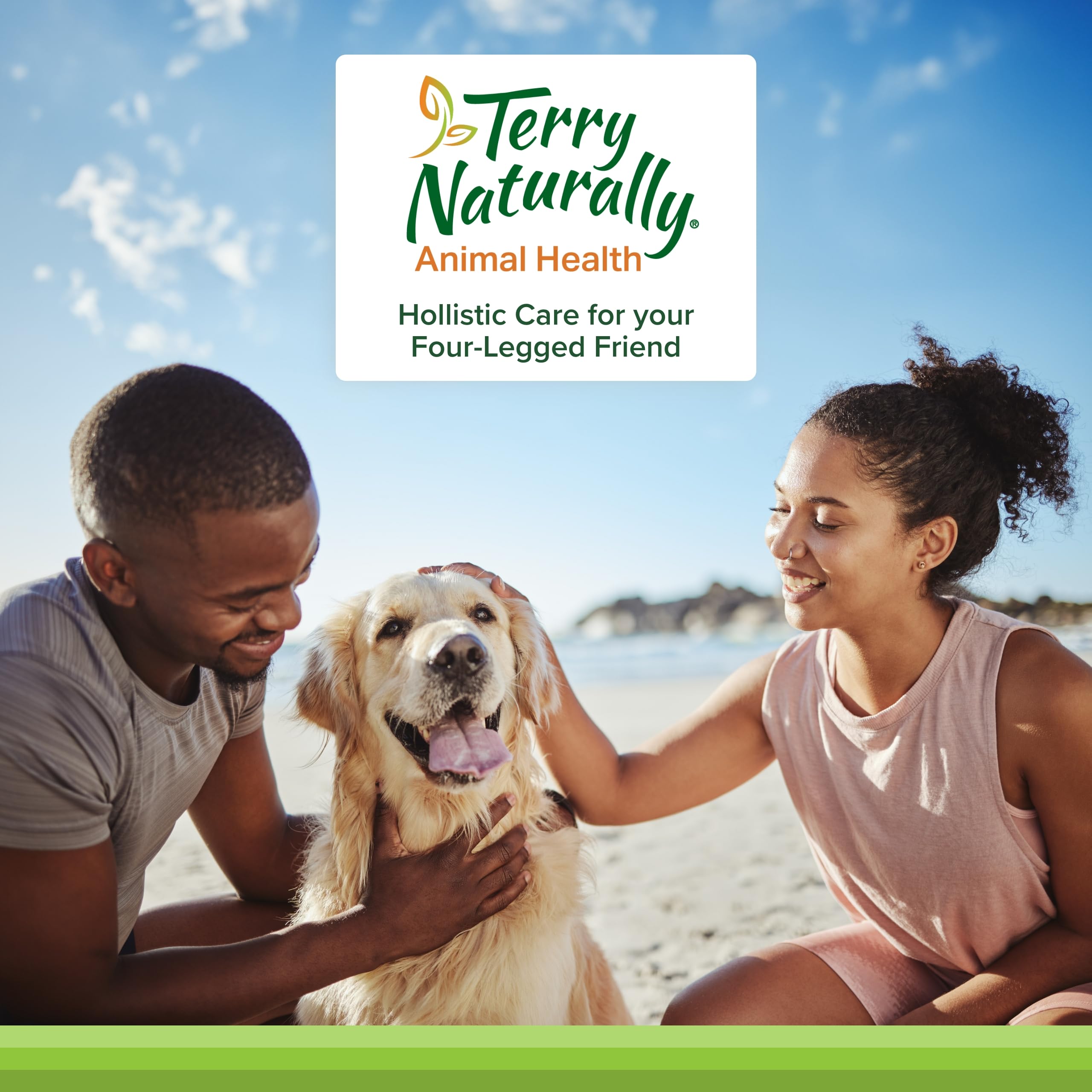 Terry Naturally Animal Health Joint & Hip Formula - 60 Chewable Wafers - Supports Joint Health, Flexibility, Comfort & Mobility - Canine Only