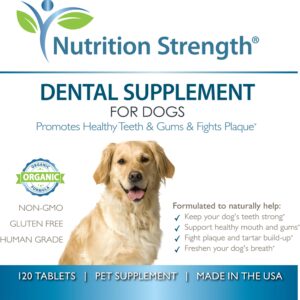 Nutrition Strength Dental Care for Dogs, Daily Supplement for Healthy Dog Gums and Teeth with Organic Kelp, Strawberry Leaf, Pumpkin Seed for Dog Mouth and Teeth Cleaning, 120 Chewable Tablets