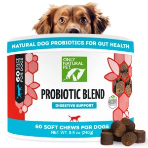 only natural pet probiotic dog and cat supplement - digestive & gut health enzyme formula, puppy & canine digestive chews, best for stomach relief & gas aid - soft chews, 60 count.