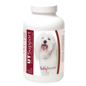 healthy breeds coton de tulear cranberry chewables - ut support - effective in helping fight harmful bacteria & prevent infection in your dog's bladder - 75 count