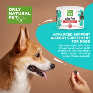 ONLY NATURAL PET AllerFree Advanced Allergy Support for Dogs w/Quercetin & Probiotics - Immune, Respiratory, Skin & Coat Health - Itchy Paws & Licking - Bacon-Flavored 60 Soft Chewable