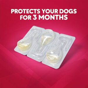 ZoGuard Plus Flea and Tick Prevention for Large Dogs – Flea & Tick Prevention for Dogs 45-88lbs (3 Doses)