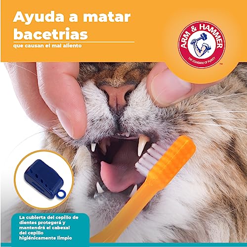 Arm & Hammer Cat Dental Kit - Toothbrush, Toothpaste and Oral Care for Kittens with Tuna and Fresh Mint Flavors