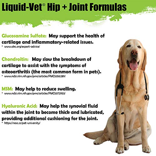 Liquid-Vet by COOL PET Holistics K9 Hip & Joint Advanced Formula, Chicken Flavor, 32 oz (LVDJA-CH-04PK-32U)