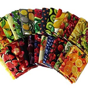 10 Fat Quarters - Fruit Citrus Fruity Food Apples Cherries Pears Strawberries Blueberries Berries Melons Lemon Lime Fabrics Quality Quilters Cotton Assorted Fat Quarter Bundle M224.01