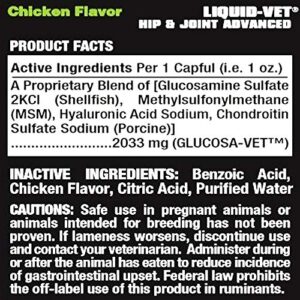 Liquid-Vet by COOL PET Holistics K9 Hip & Joint Advanced Formula, Chicken Flavor, 32 oz (LVDJA-CH-04PK-32U)