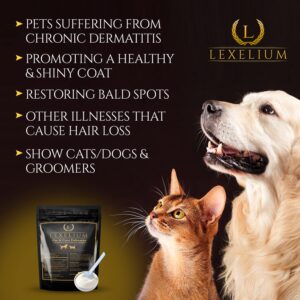 Lexelium Dermatitis Skin and Coat Supplement for Dogs and Cats - Promotes Healthy Skin and Fur for Dogs and Cats - Helps w/Itch, Dry Skin + Other Symptom - Natural Vet-Approved Powder Formula - 200G