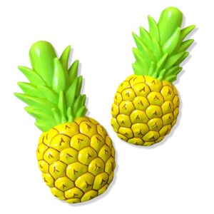 o2cool pineapple boca clip