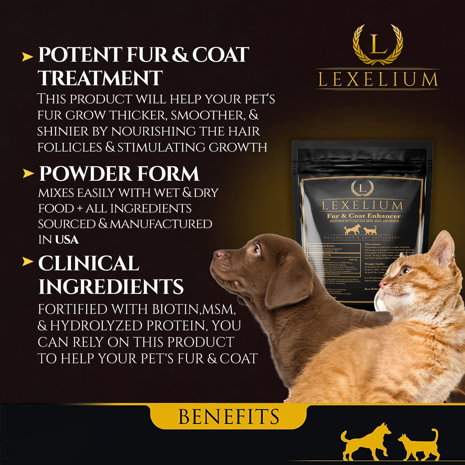 Lexelium Dermatitis Skin and Coat Supplement for Dogs and Cats - Promotes Healthy Skin and Fur for Dogs and Cats - Helps w/Itch, Dry Skin + Other Symptom - Natural Vet-Approved Powder Formula - 200G