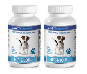 pet joint supplements - hip & joint support - for dogs - chewable - msm for dog - 2 bottle (240 chewable tablets)