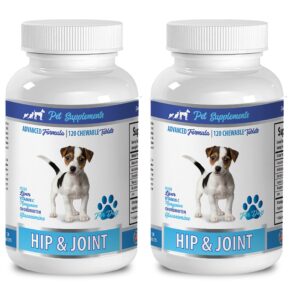 pet Joint Supplements - Hip & Joint Support - for Dogs - Chewable - msm for Dog - 2 Bottle (240 Chewable Tablets)