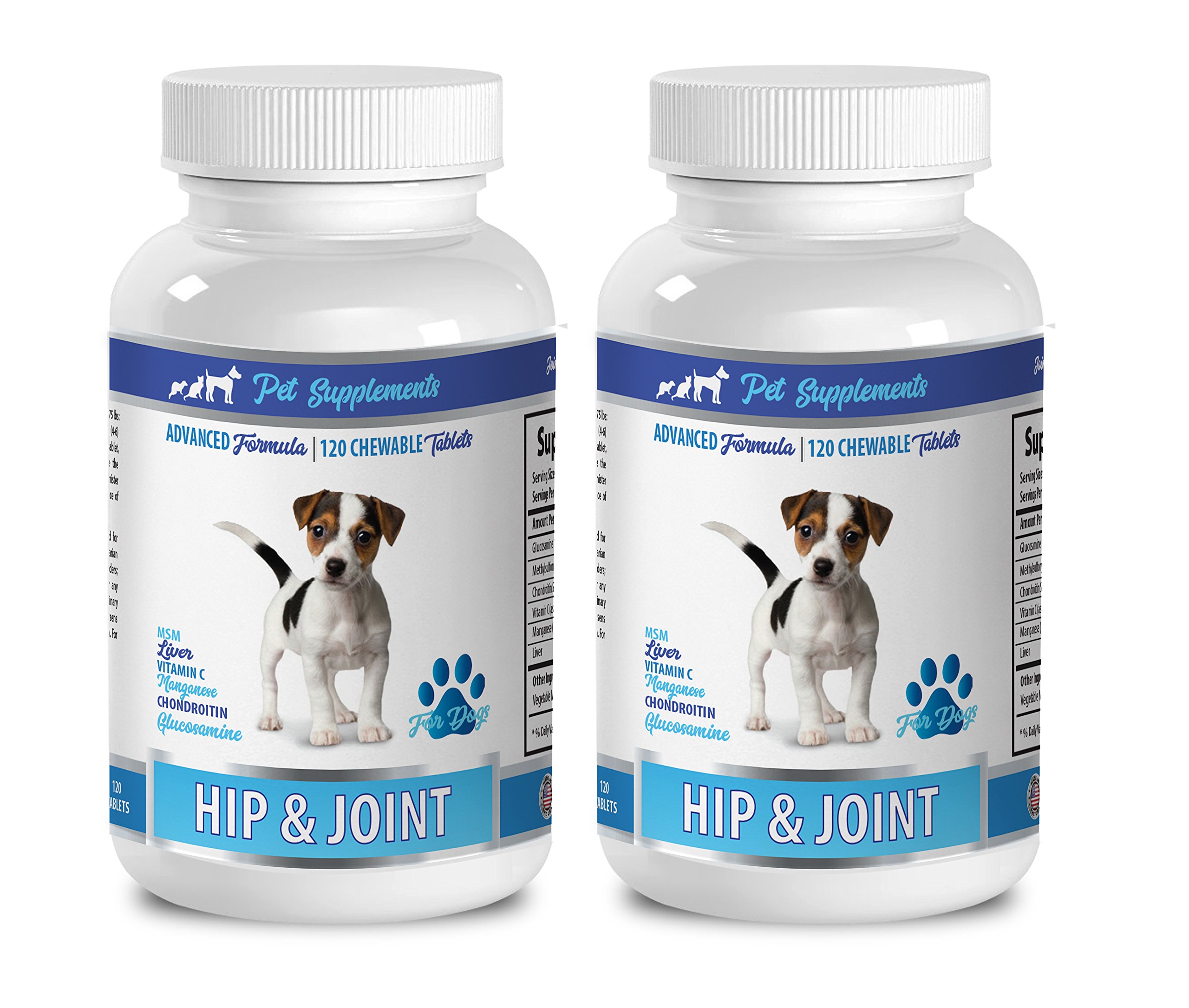 pet Joint Supplements - Hip & Joint Support - for Dogs - Chewable - msm for Dog - 2 Bottle (240 Chewable Tablets)