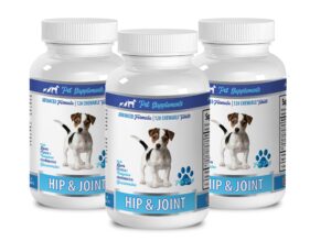 pet supplements puppy joint support - hip & joint support - for dogs - chewable - dog liver support - 3 bottle (360 chewable tablets)