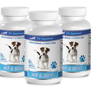 PET SUPPLEMENTS Puppy Joint Support - Hip & Joint Support - for Dogs - Chewable - Dog Liver Support - 3 Bottle (360 Chewable Tablets)