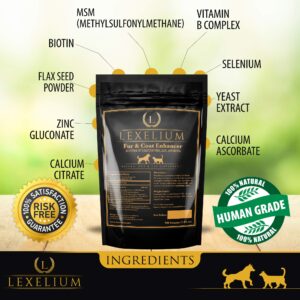 Lexelium Dermatitis Skin and Coat Supplement for Dogs and Cats - Promotes Healthy Skin and Fur for Dogs and Cats - Helps w/Itch, Dry Skin + Other Symptom - Natural Vet-Approved Powder Formula - 200G