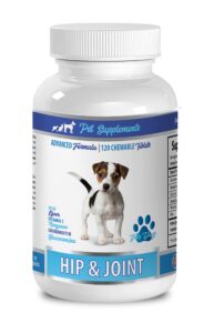 pet supplements hip and joint for dogs treats - hip & joint support - for dogs - chewable - glucosamine sulfatew - 1 bottle (120 chewable tablets)