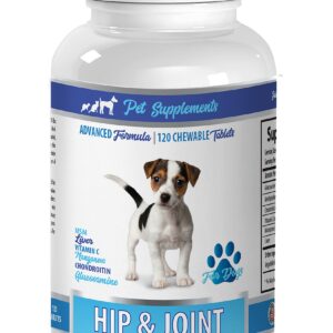 PET SUPPLEMENTS Hip and Joint for Dogs Treats - Hip & Joint Support - for Dogs - Chewable - glucosamine sulfatew - 1 Bottle (120 Chewable Tablets)