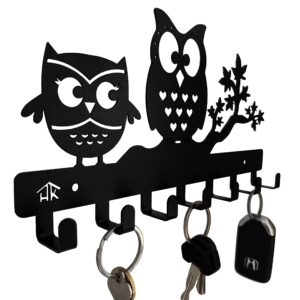 HeavenlyKraft Owl Key Holder, Owl Key Rack, Owl Key Hooks, Metal Key Cabinet, Owl Key Hanger, Medal Hanger, Leash Hanger, 10.6 X 6.15 X 1 INCH (Owl Duo Key Hook)