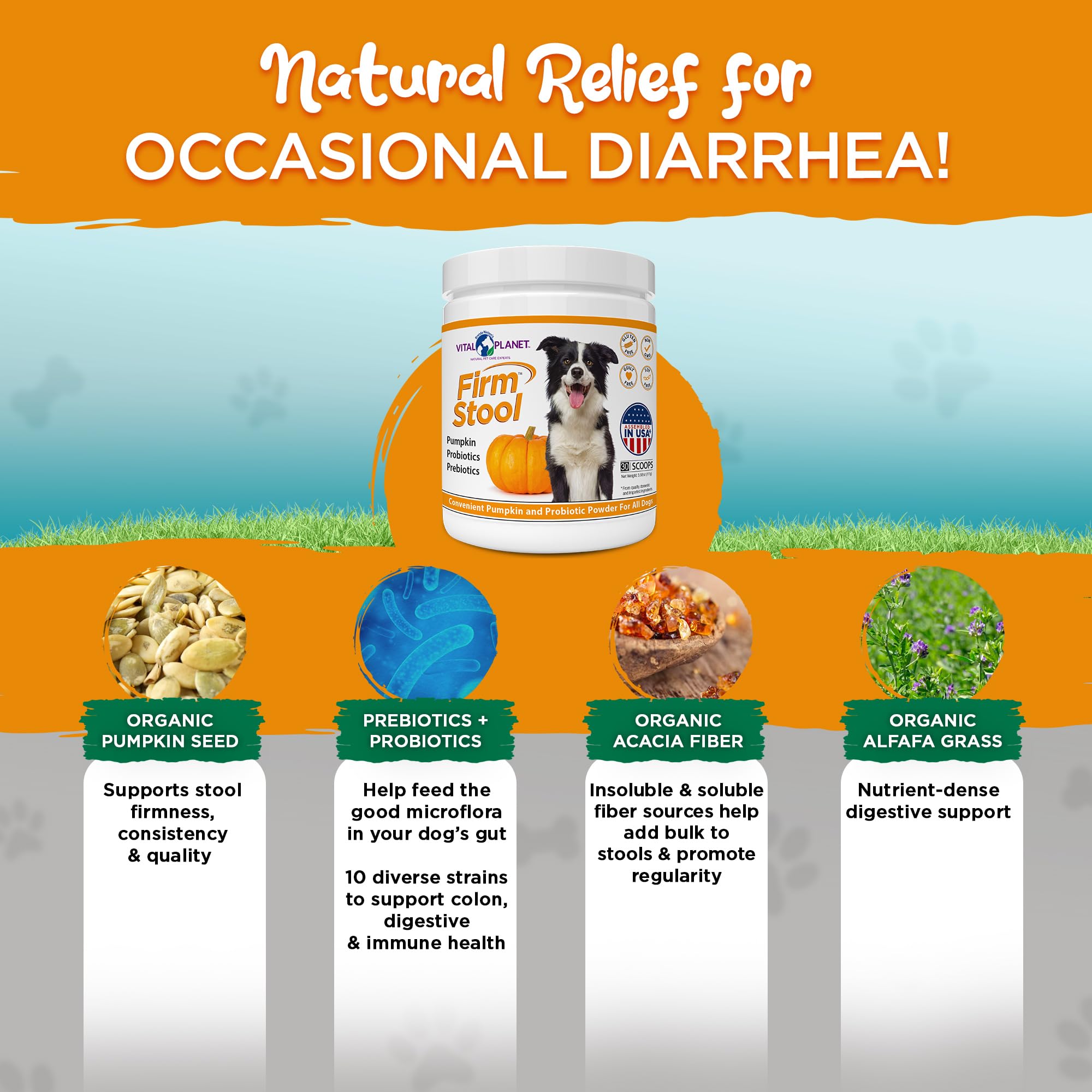 Vital Planet - Firm Stool – Dog Stool Hardener, Eliminates Diarrhea and Gas - Pumpkin, Probiotics and Prebiotics for Healthy Digestion, Fiber for Firmer Stools and Regularity - 111 Grams 30 Servings