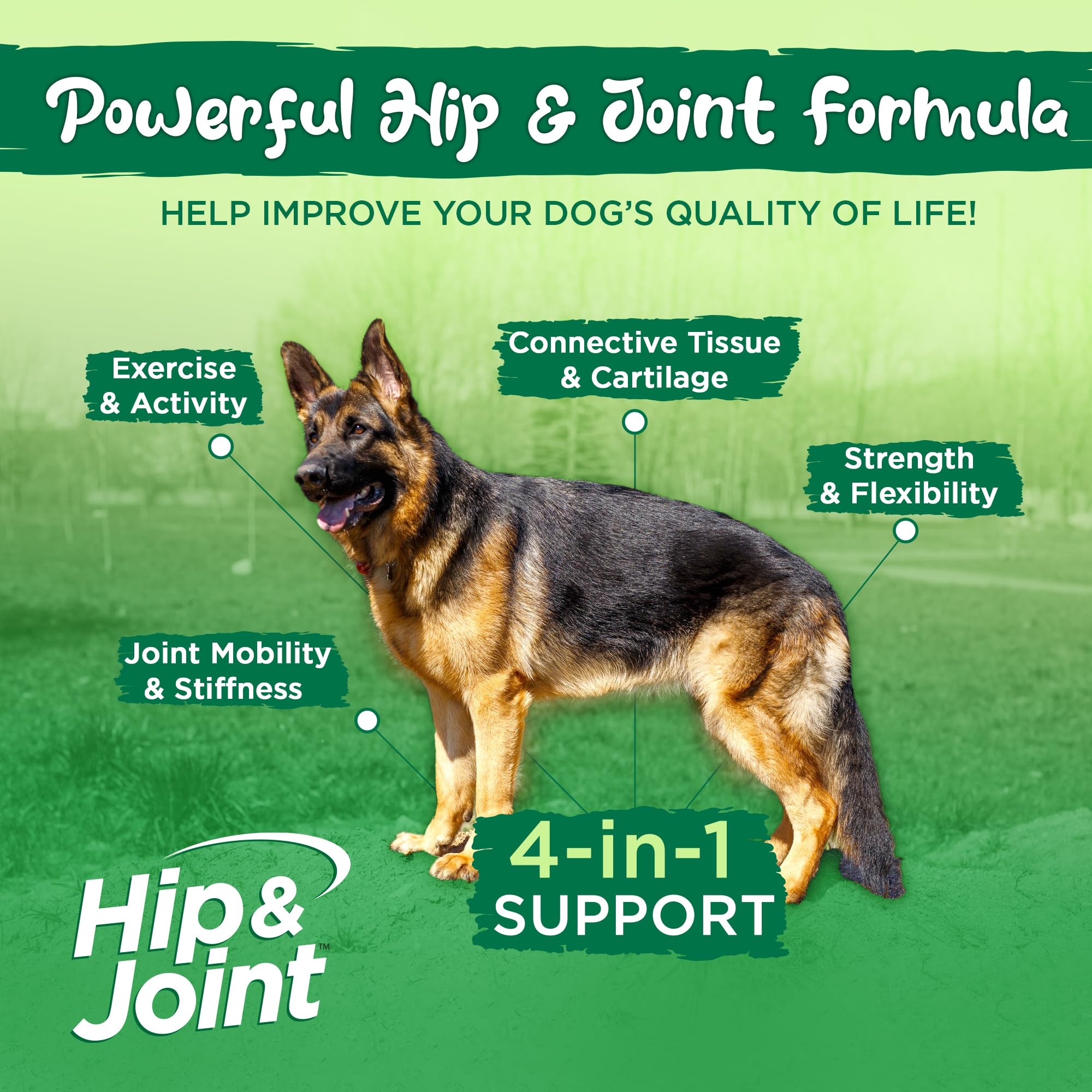 Vital Planet - Natural Hip and Joint Supplement for Dogs - Potent Herbal Blend with Green Lipped Mussel, MSM and Glucosamine (120 Chewable Tabs)