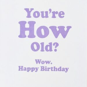 OMG You're How Old? WOW Happy Birthday Greeting Card w/Basset Hound Dog - Getting Older Aging Cute Funny