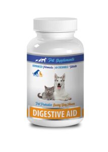 wellness cat treats - pet digestive aid - probiotics - for dogs and cats - chewable - cat tummy stress - 1 bottle (60 chews)