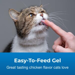 Pet-Ag Hairball Natural Solution Gel Supplement for Cats - 3.5 oz - Helps Prevent and Reduce Hairballs in Cats 6 Months and Older - Petrolatum Free