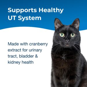 Pet-Ag UT Solution Gel Supplement for Cats - 3.5 oz - Supports a Healthy Urinary Tract for Cats 6 Months and Older