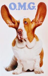 omg you're how old? wow happy birthday greeting card w/basset hound dog - getting older aging cute funny