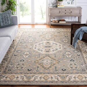 safavieh aspen collection area rug - 8' x 10', moss & ivory, handmade traditional wool, ideal for high traffic areas in living room, bedroom (apn601w)